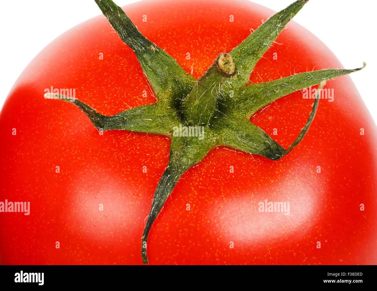 Red ripe tomato close-up isolated on white background Stock Photo - Alamy