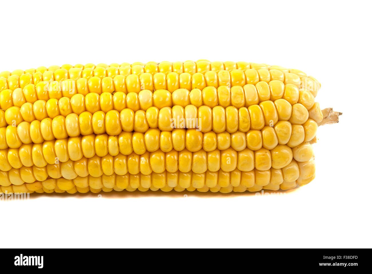 corn isolated on white background Stock Photo - Alamy