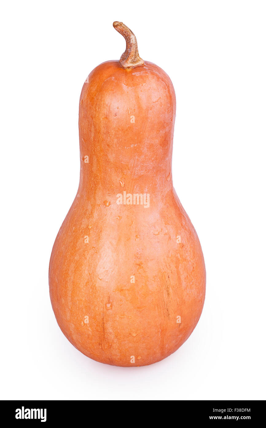 Coolor Cut Out Stock Images & Pictures - Alamy