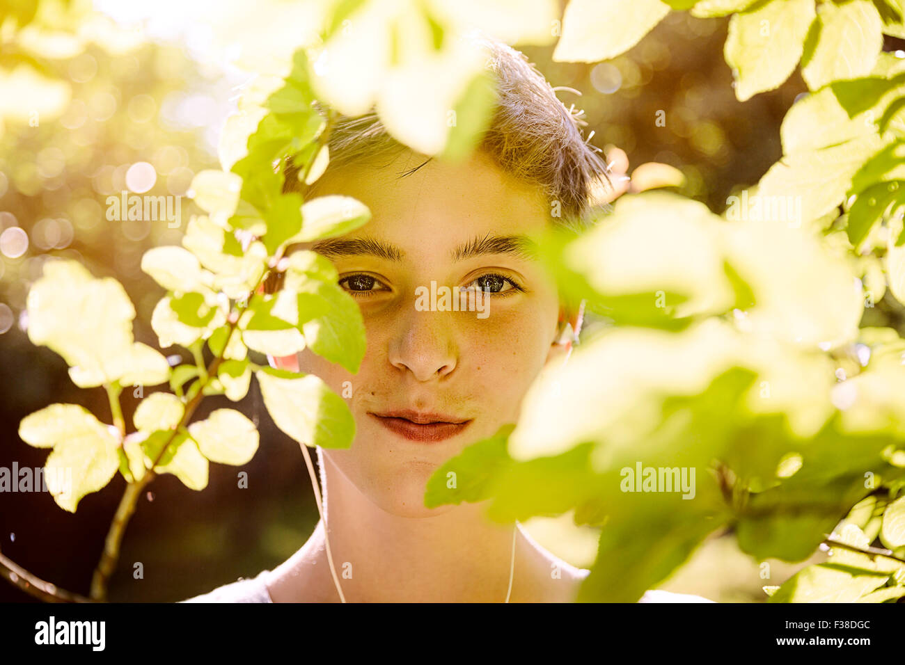 smiling teenage boy behind some leaves in backlit Stock Photo - Alamy