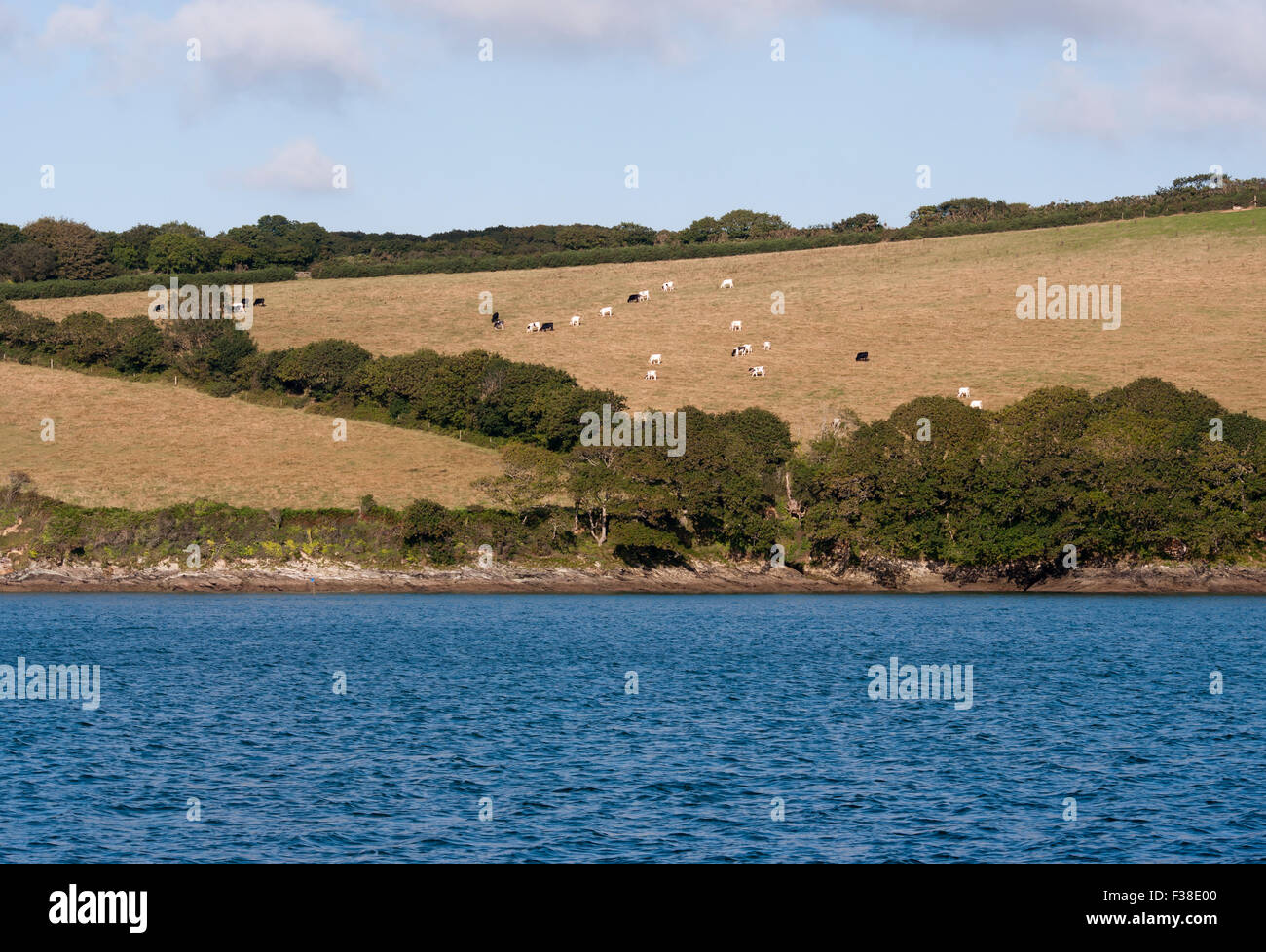 Countryside cornwall hi-res stock photography and images - Alamy