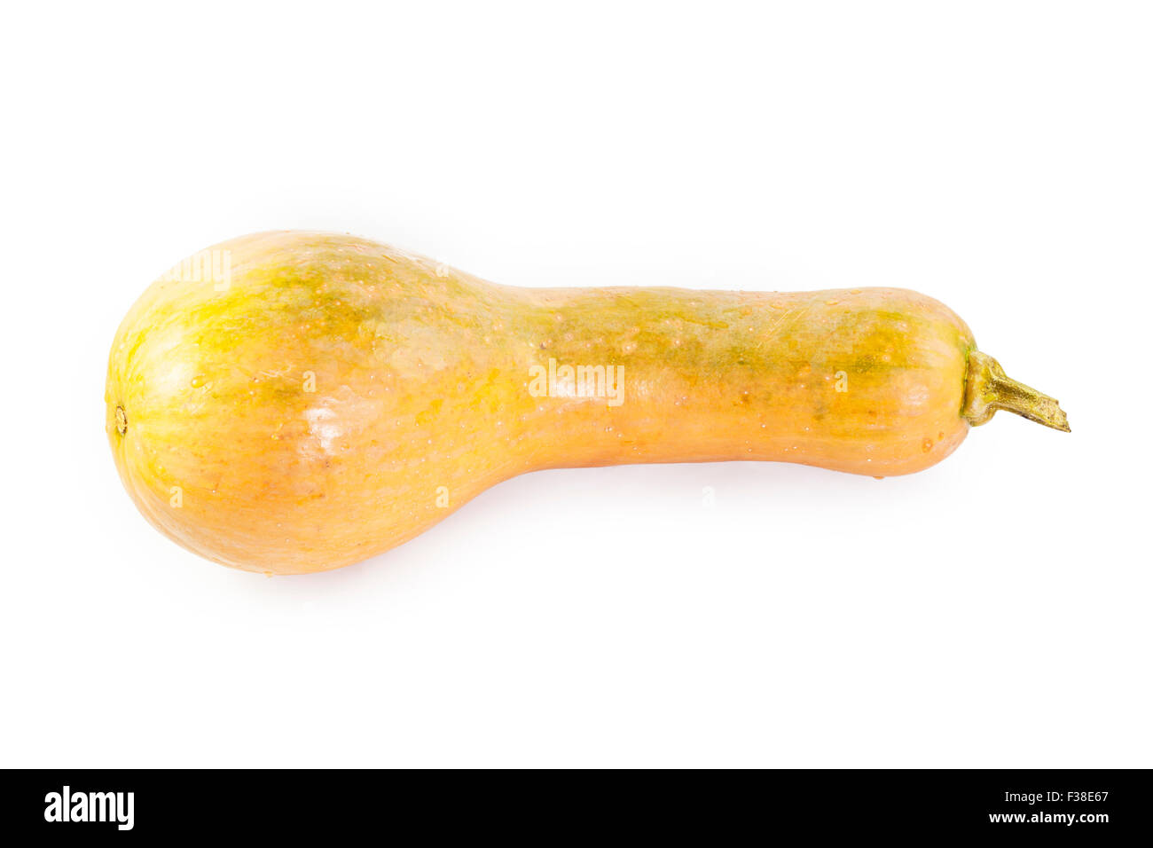 Butternut pumpkin isolated on white background Stock Photo - Alamy