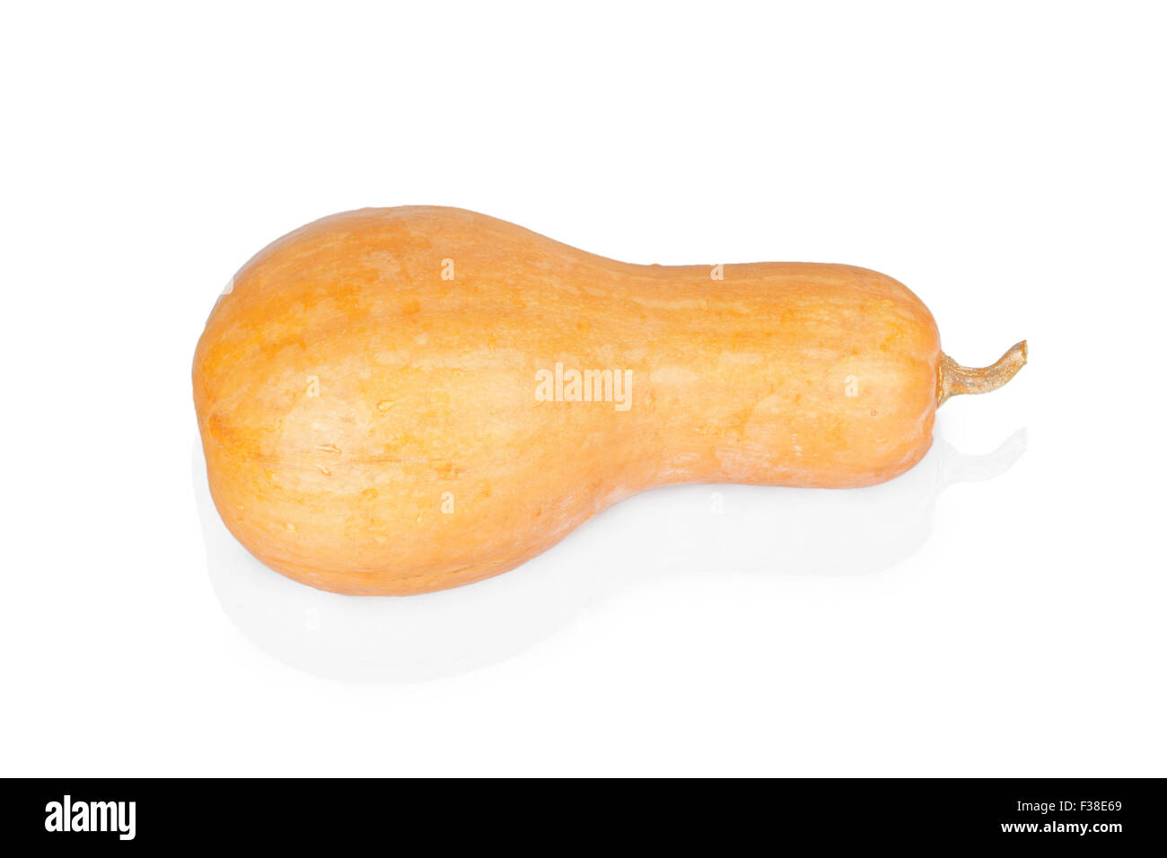 Butternut pumpkin isolated on white background Stock Photo - Alamy