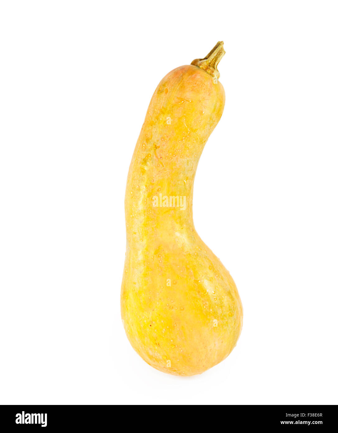 Butternut pumpkin isolated on white background Stock Photo - Alamy