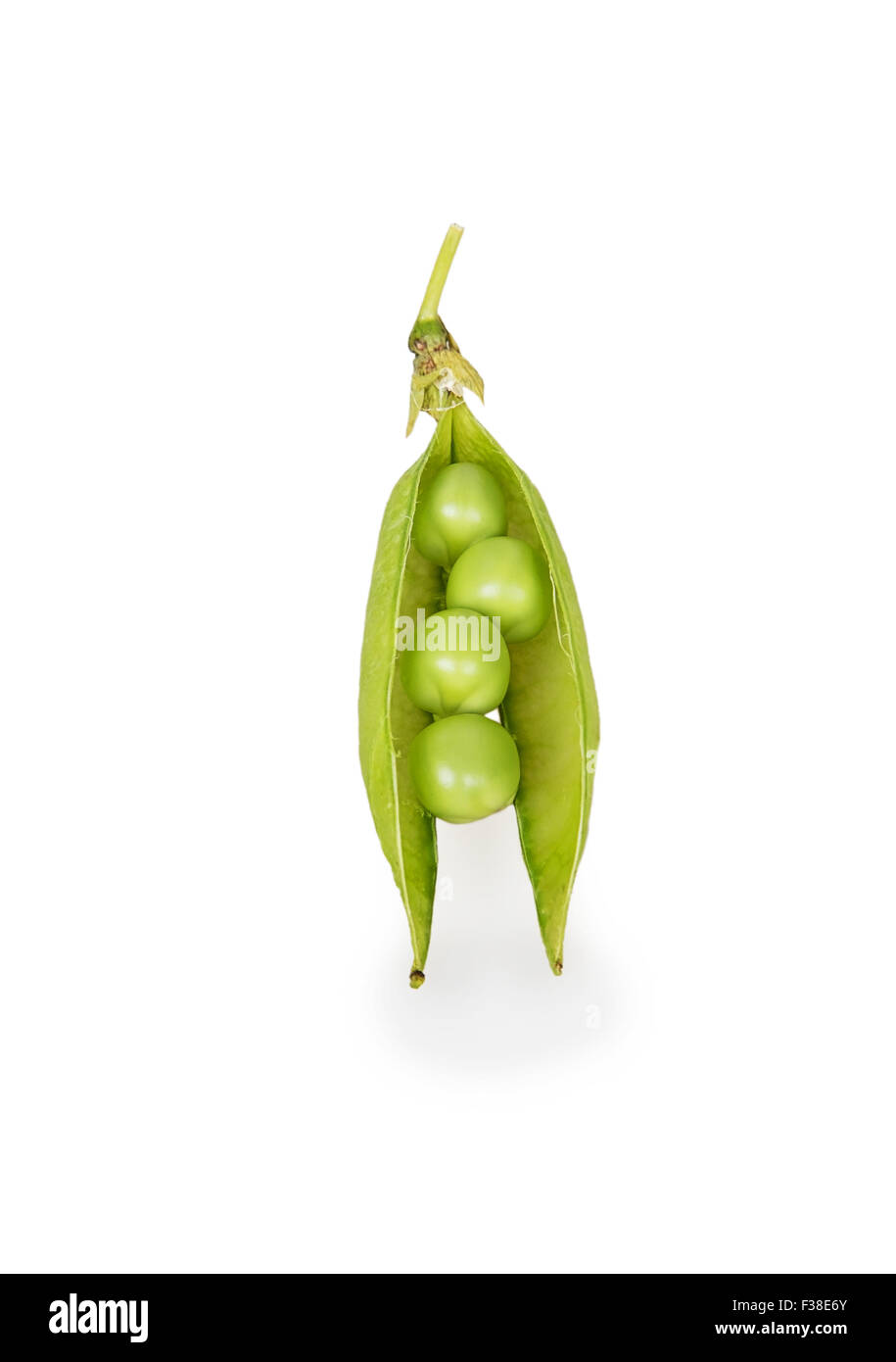 Open pod with peas isolated on white background Stock Photo - Alamy