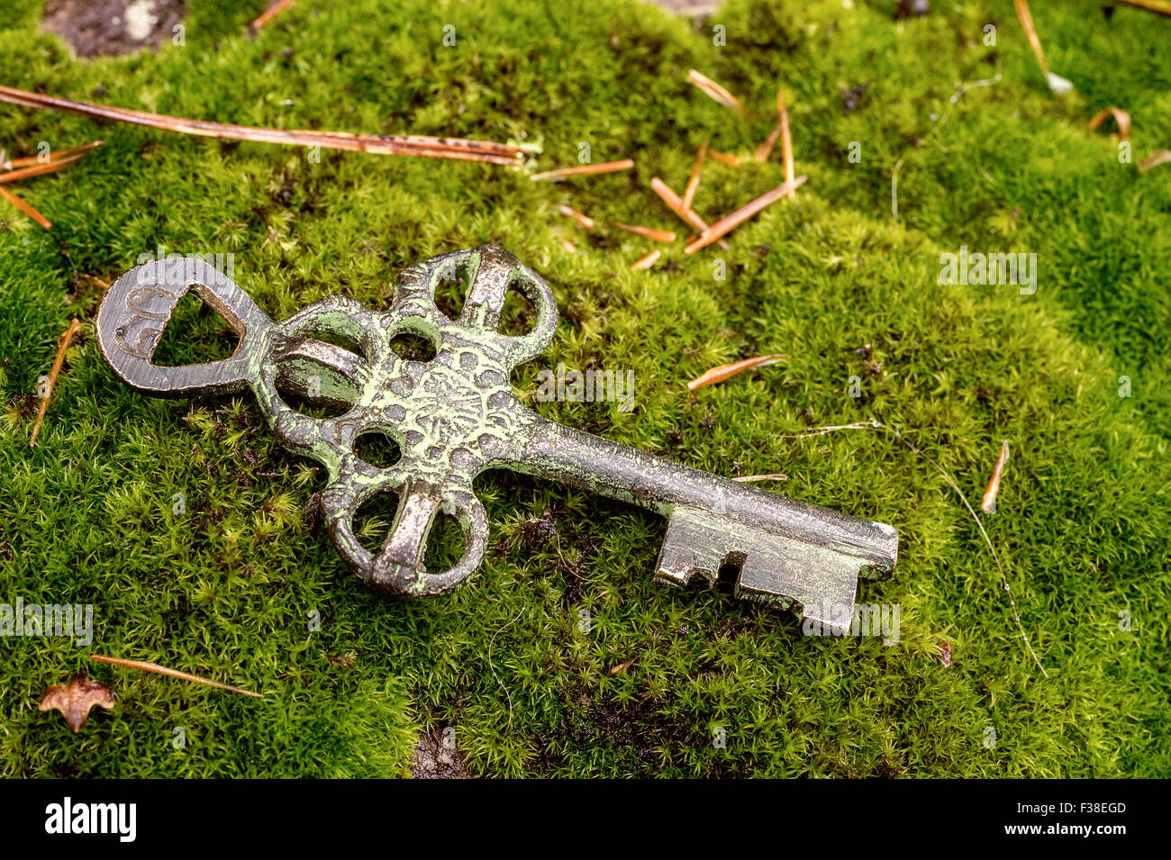 Old treasure key on green moss Stock Photo - Alamy