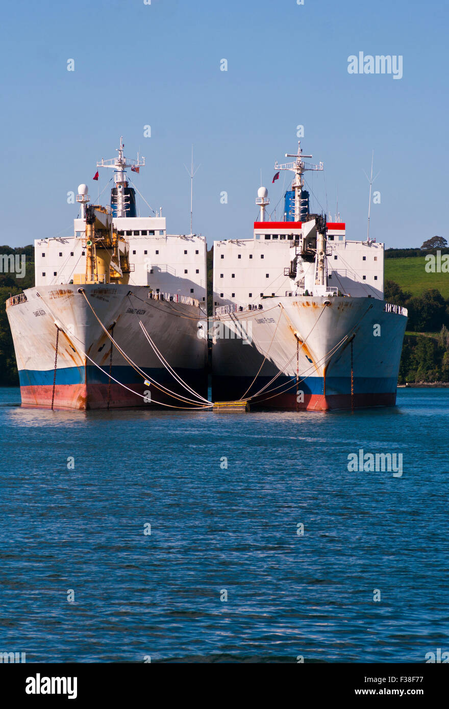 2 Large Reefer Ships Summer Meadow and Summer Flower laid Up On The ...