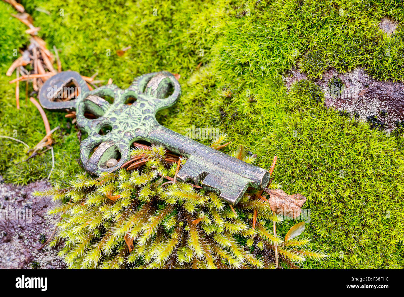 Old treasure key on green moss Stock Photo - Alamy