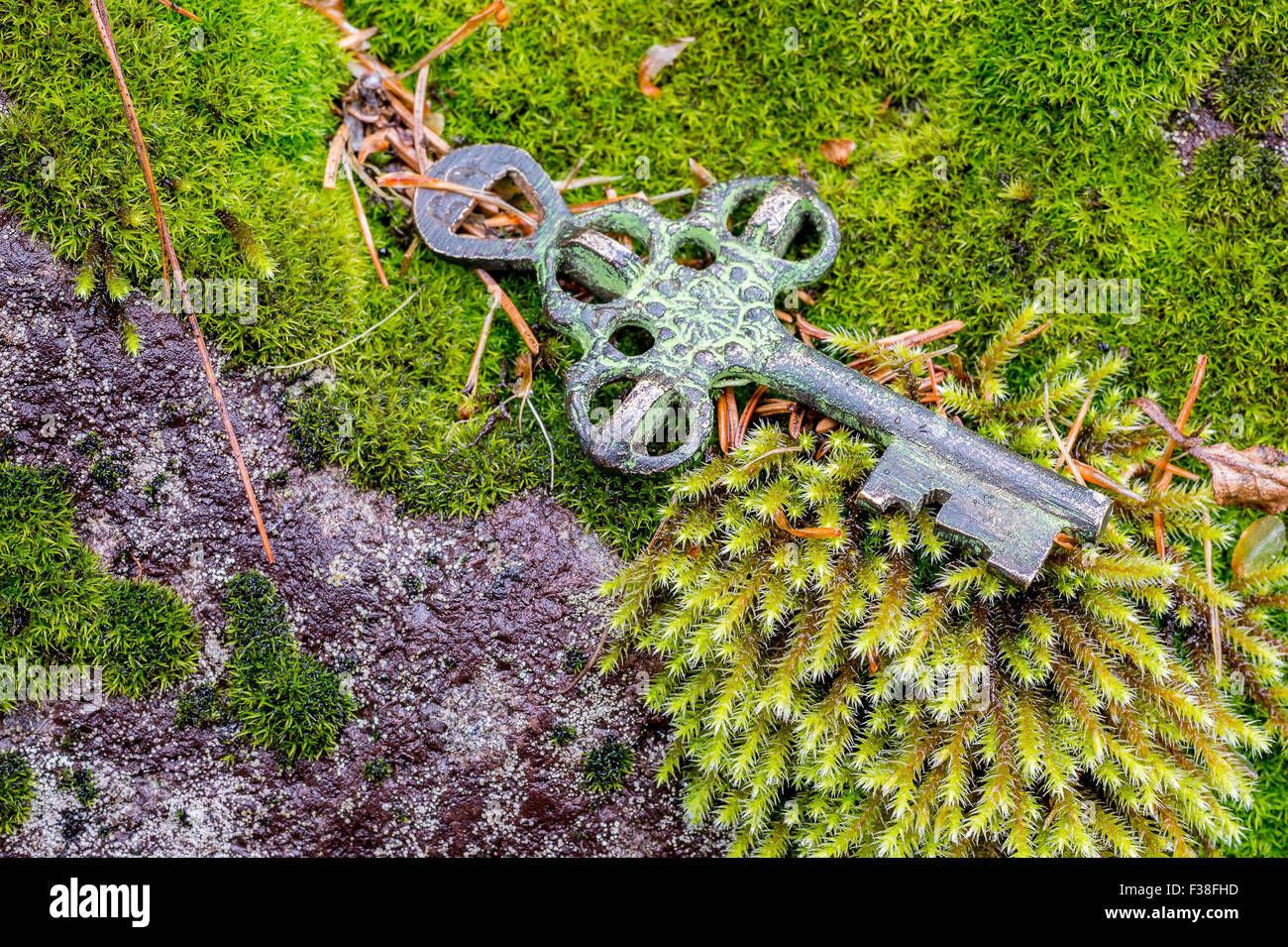 Old treasure key on green moss Stock Photo - Alamy