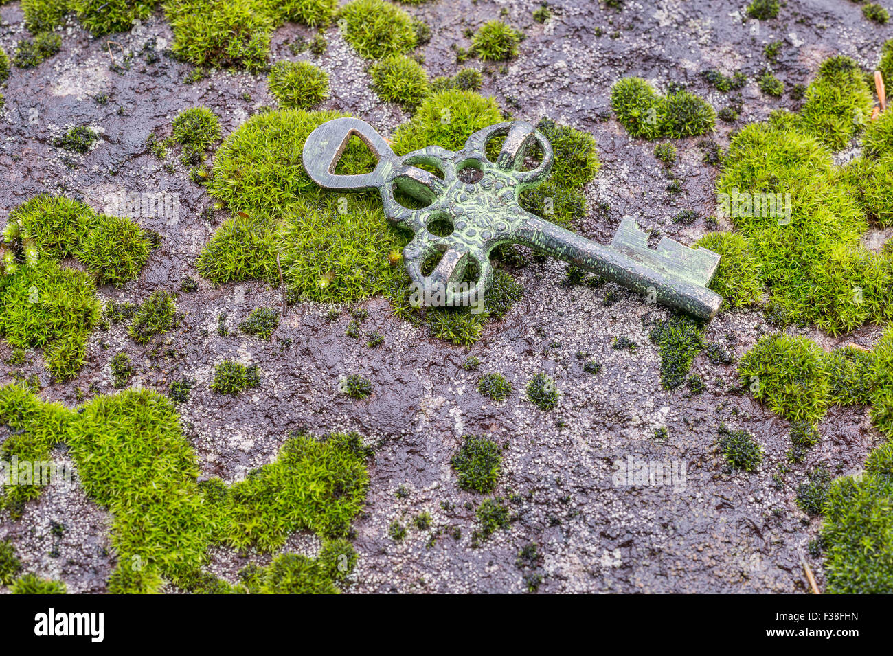 Key treasure hi-res stock photography and images - Alamy