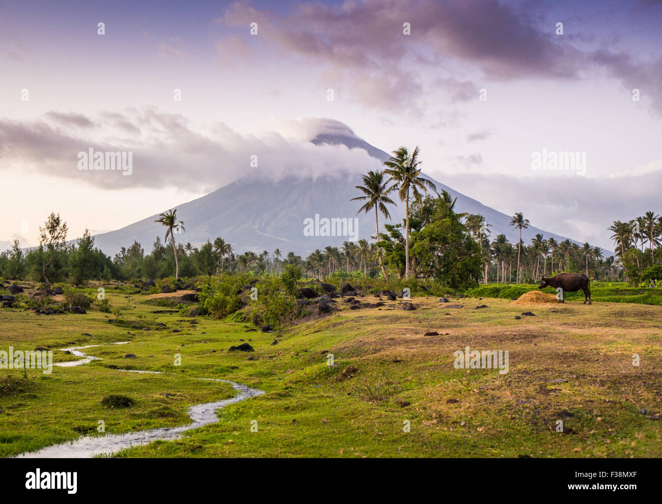Vulcano Mount Mayon in the Philippines Stock Photo - Alamy