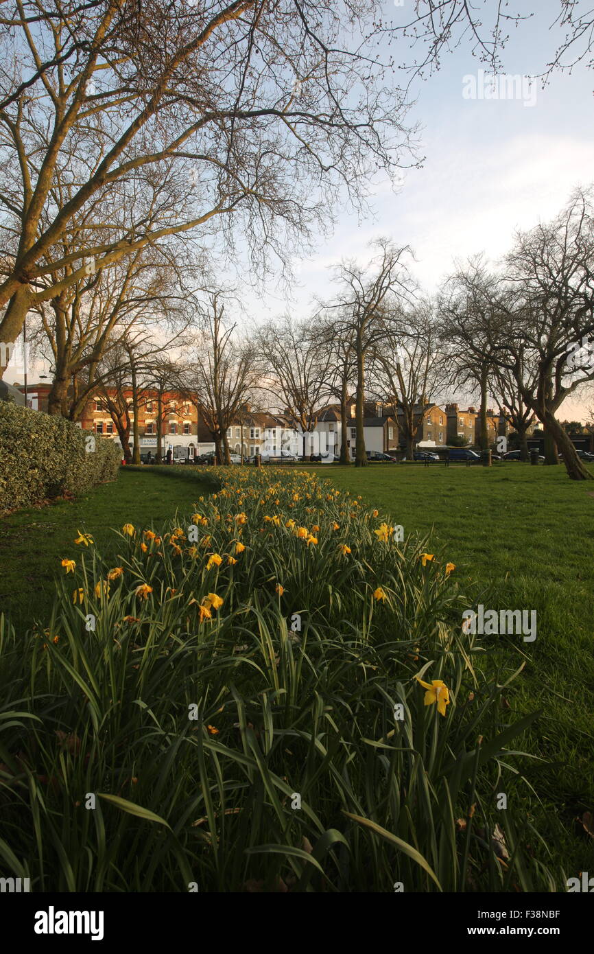 Fortune Green, West Hampstead at Sunset Stock Photo - Alamy