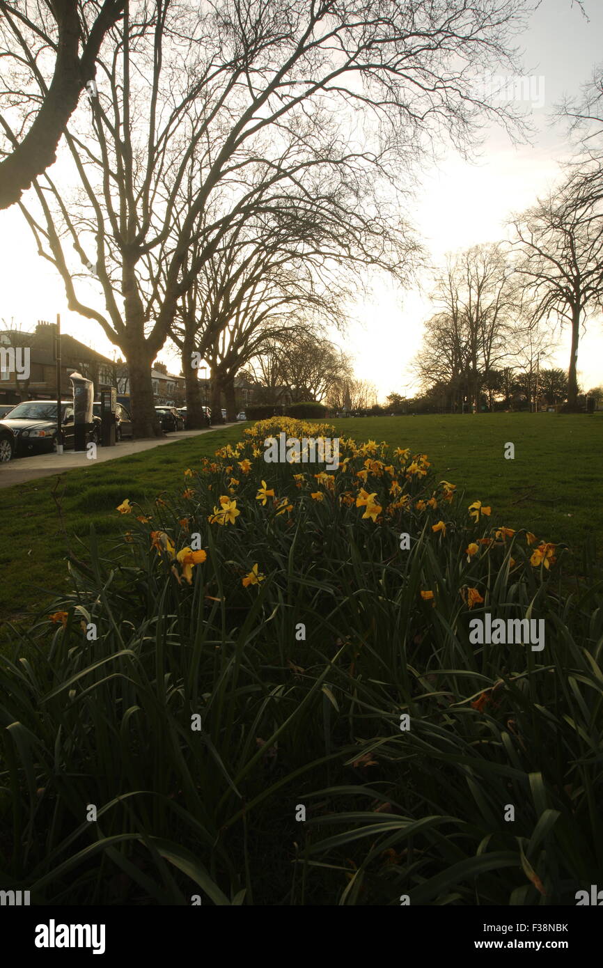 Fortune Green, West Hampstead at Sunset Stock Photo - Alamy