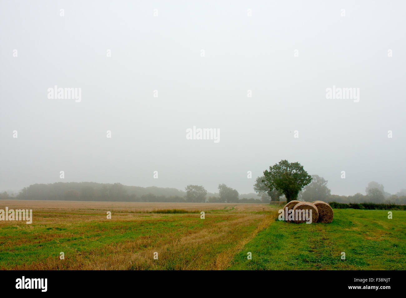English farm field hi-res stock photography and images - Alamy