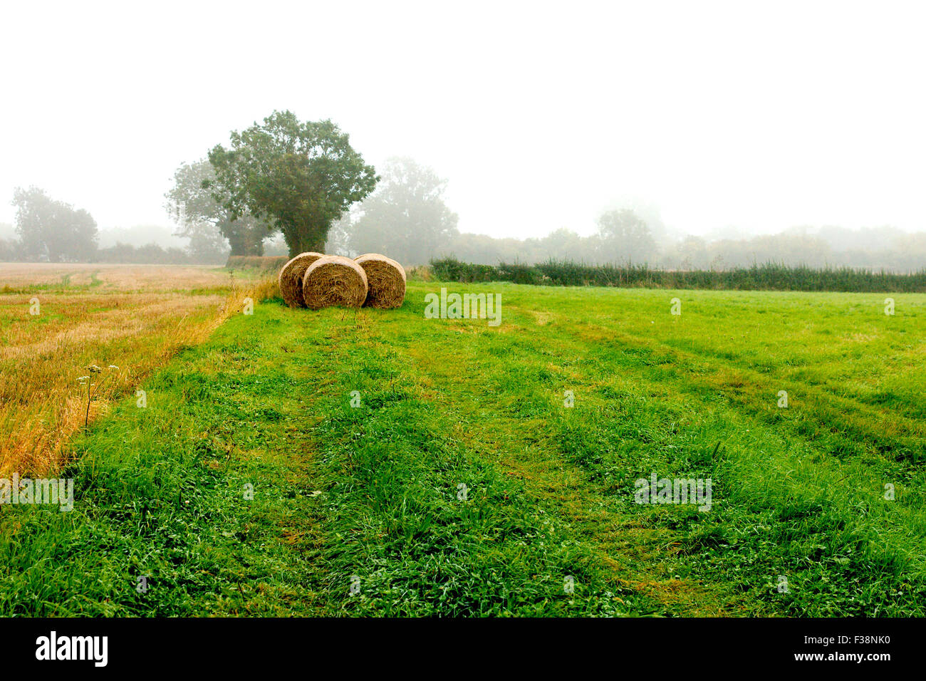 English farm field hi-res stock photography and images - Alamy