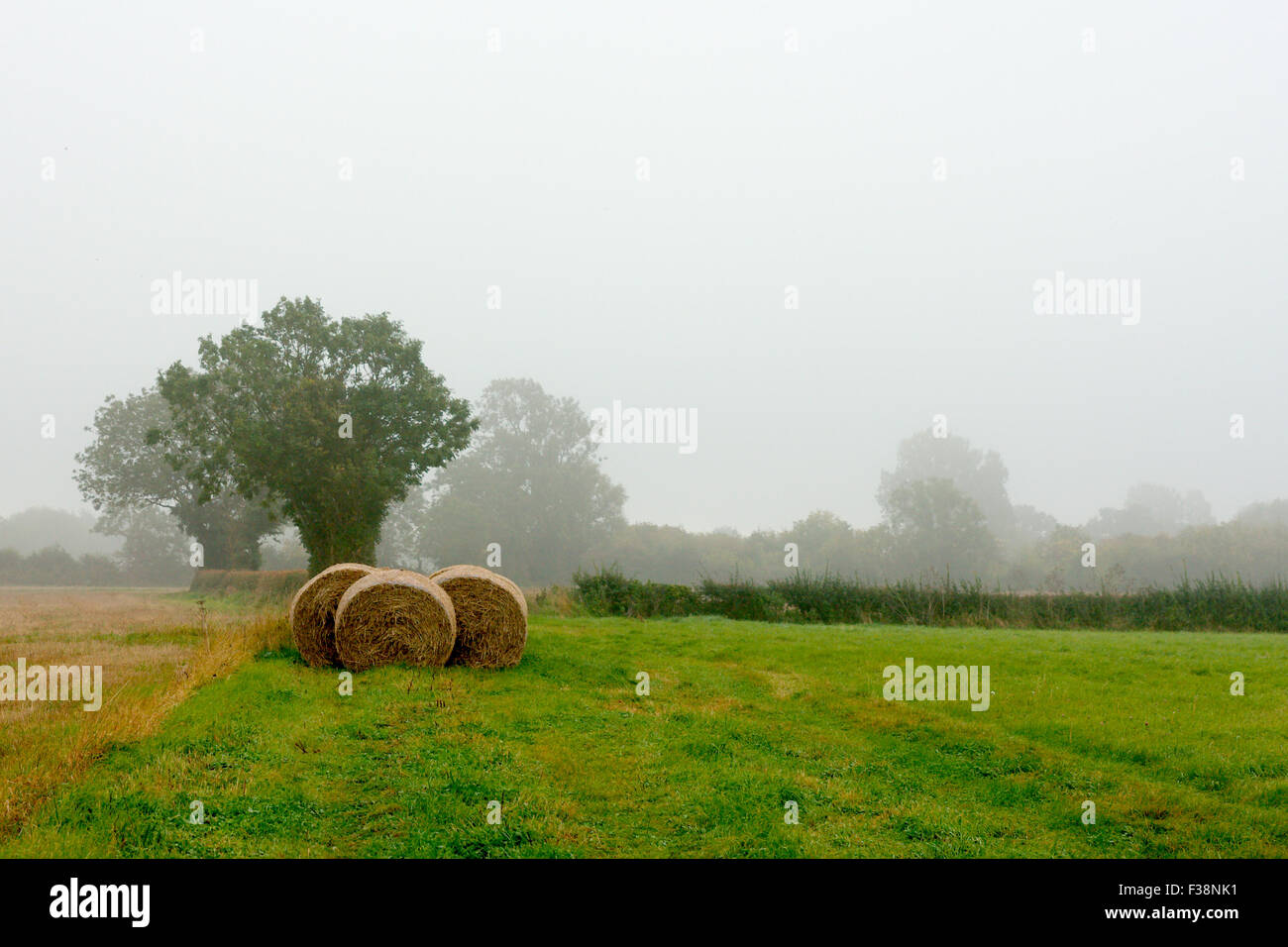 English farm field hi-res stock photography and images - Alamy