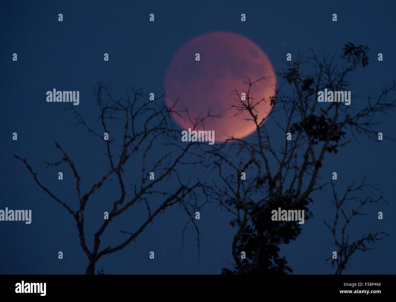 Kellogg, Oregon, USA. 27th Sep, 2015. The moon (a rare super moon ...