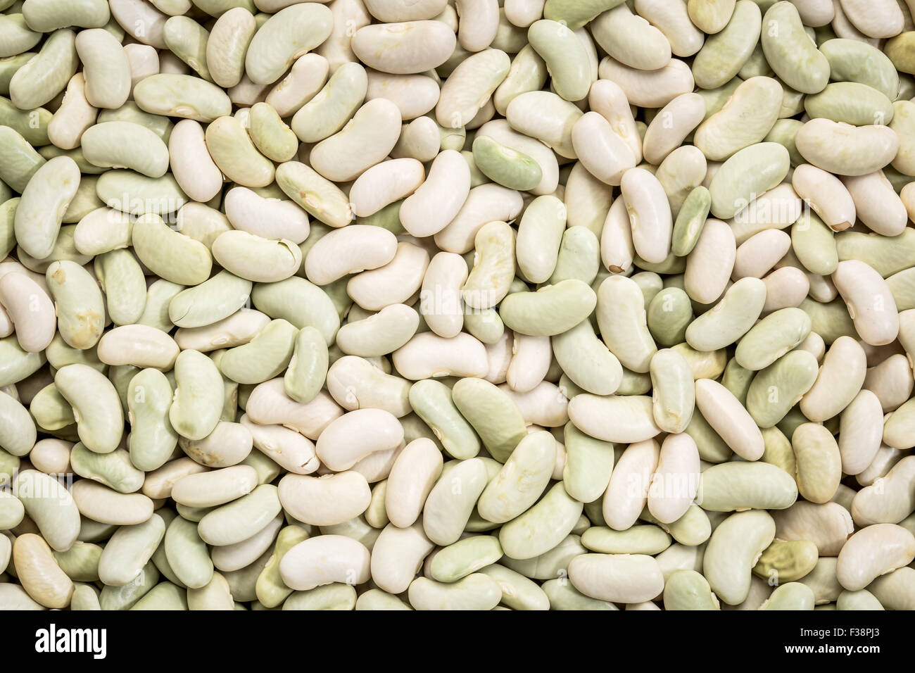 background and texture of flageolet beans (a variety of the common bean ...