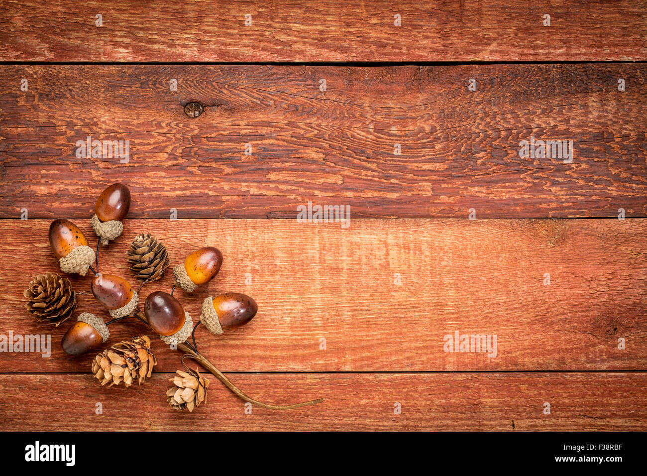 Acorn texture hi-res stock photography and images - Alamy