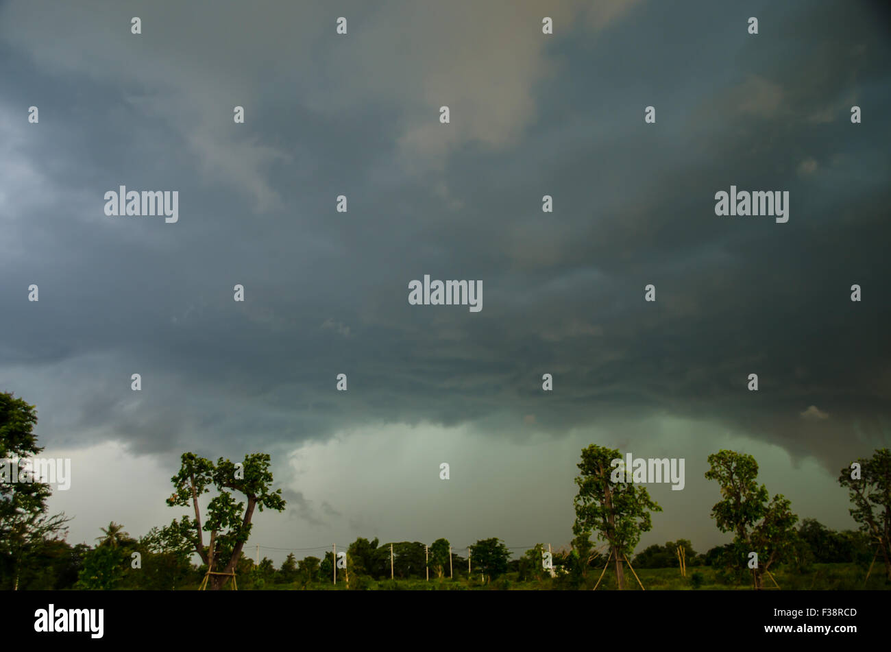 big storm cloud over the tree Stock Photo - Alamy