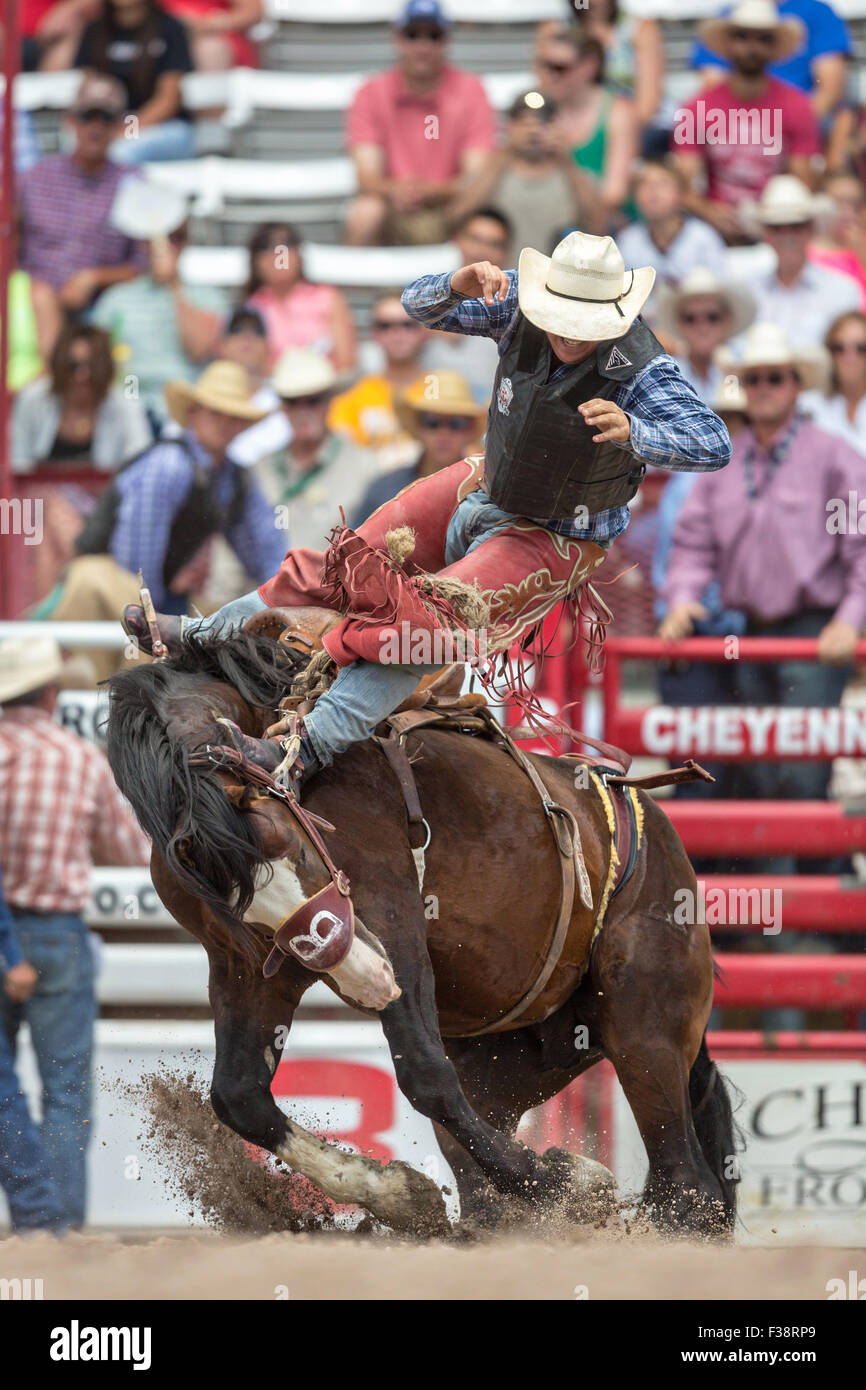 Rookie Saddle Bronc rider J.W. Meiers is tossed from horse James Bond ...
