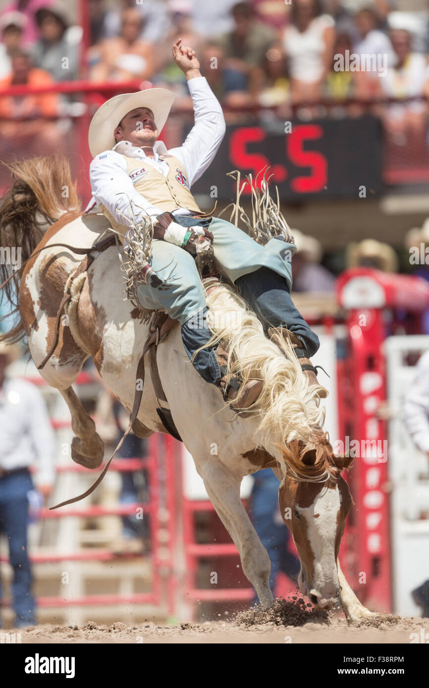 A saddle bronc rider hangs on to the bucking bronco at the Cheyenne ...