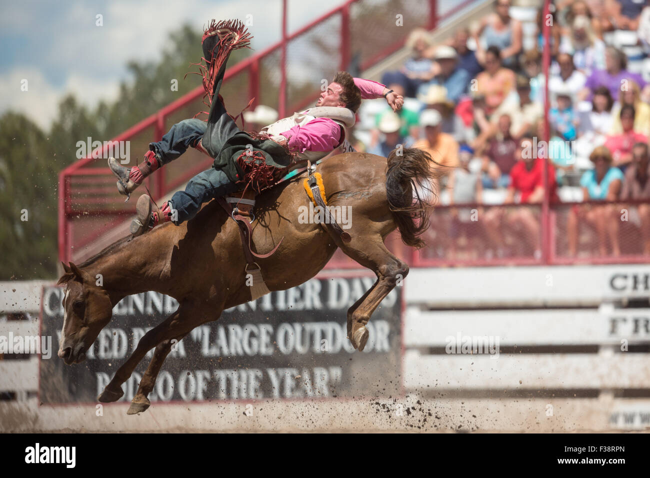 A saddle bronc rider hangs on to the bucking bronco at the Cheyenne ...