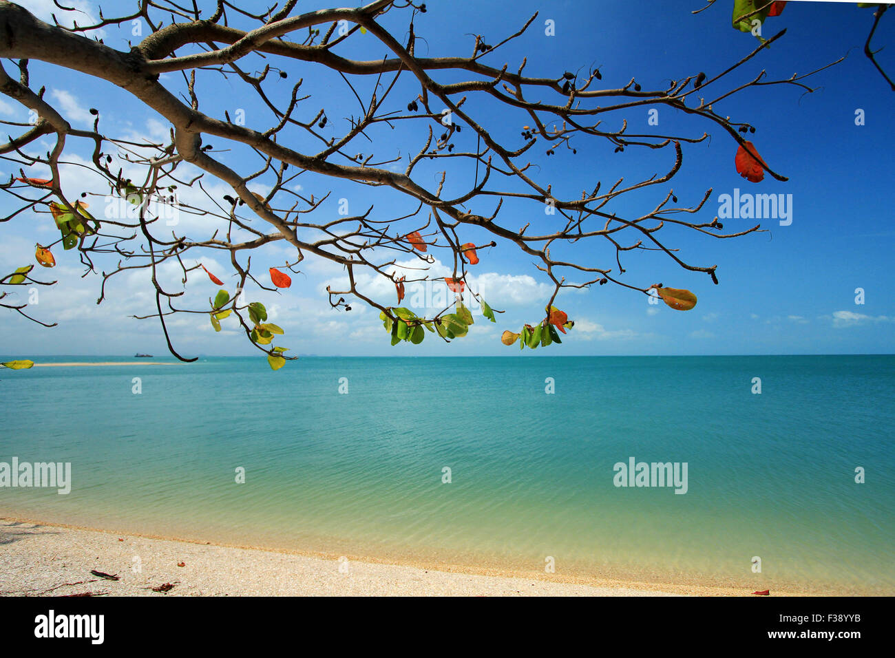 Turquoise ocean and clear blue sky and white summer cloud Stock Photo ...
