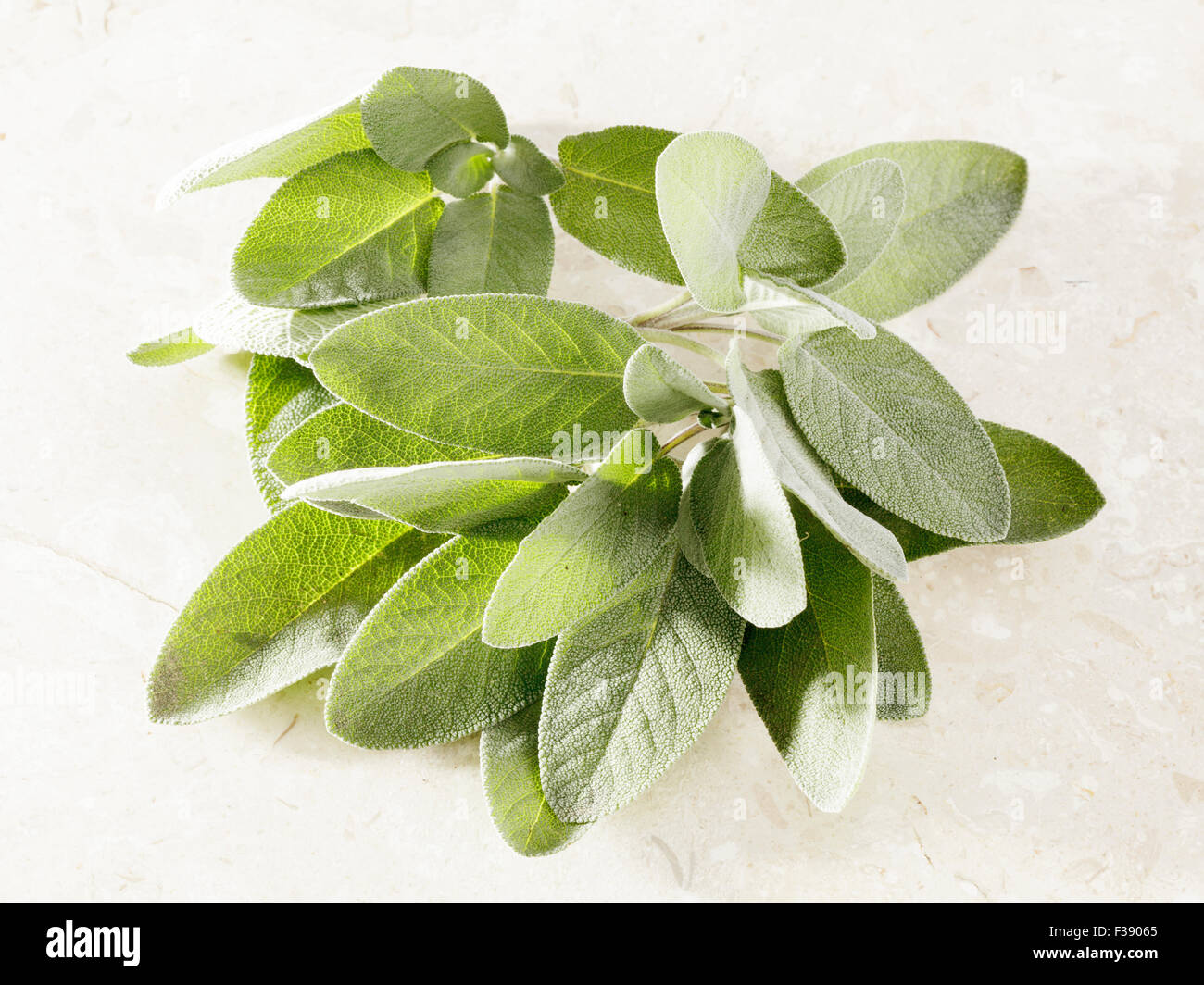 Fresh sage hi-res stock photography and images - Alamy