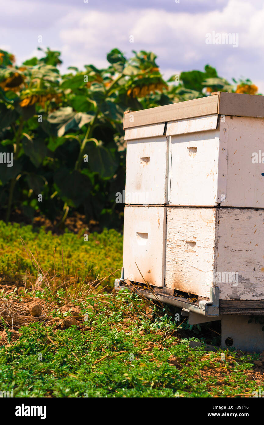 Beehive hive hi-res stock photography and images - Alamy