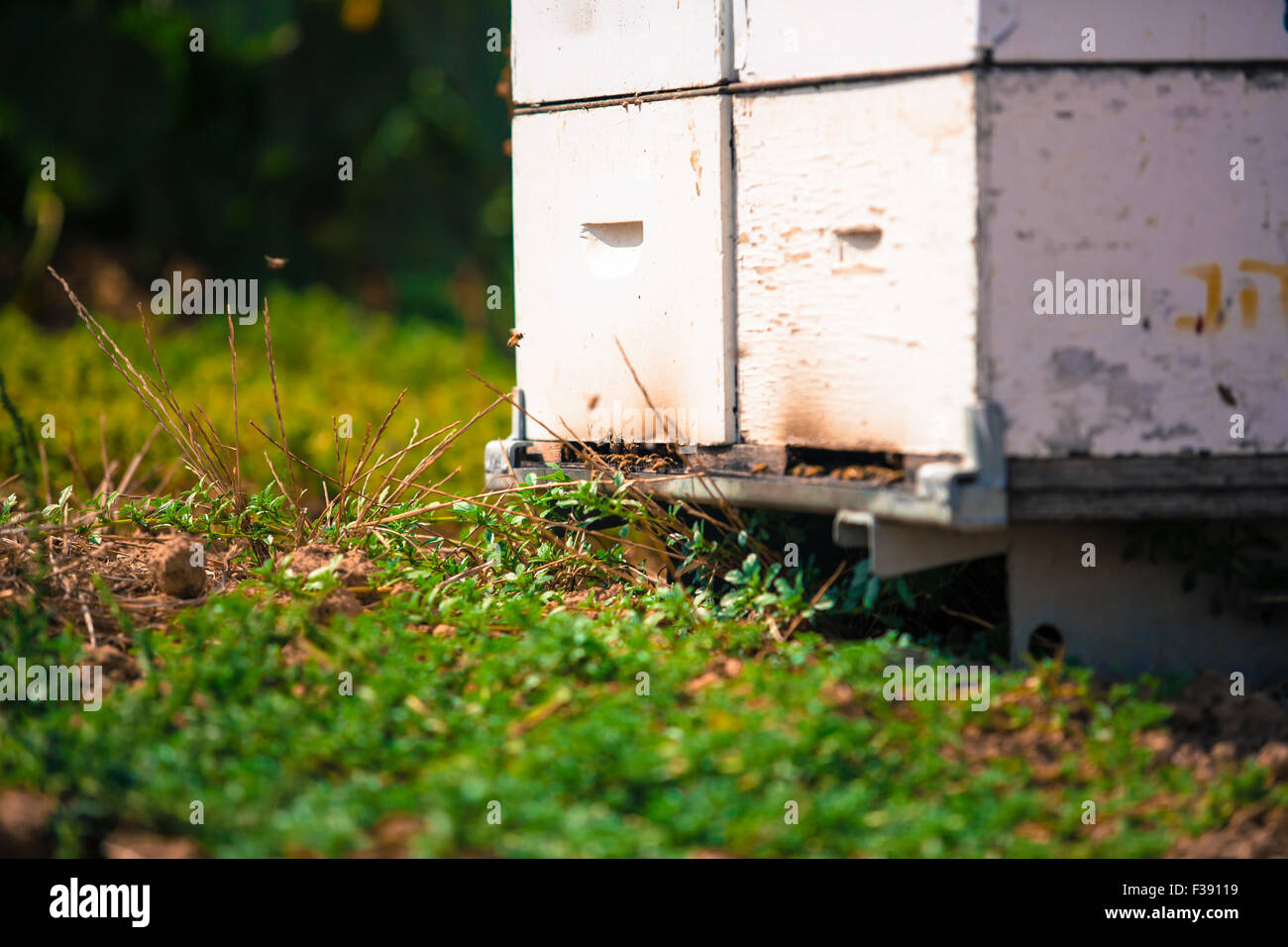 Beehive hive hi-res stock photography and images - Alamy