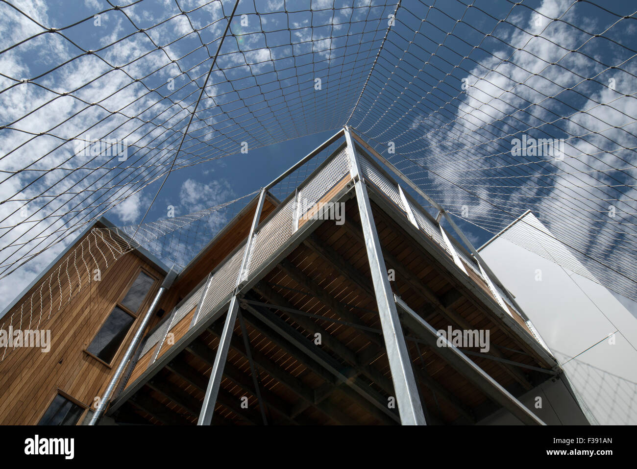 Dramatic view up to balcony and surrounding X-tend mesh. Dreamcatcher ...