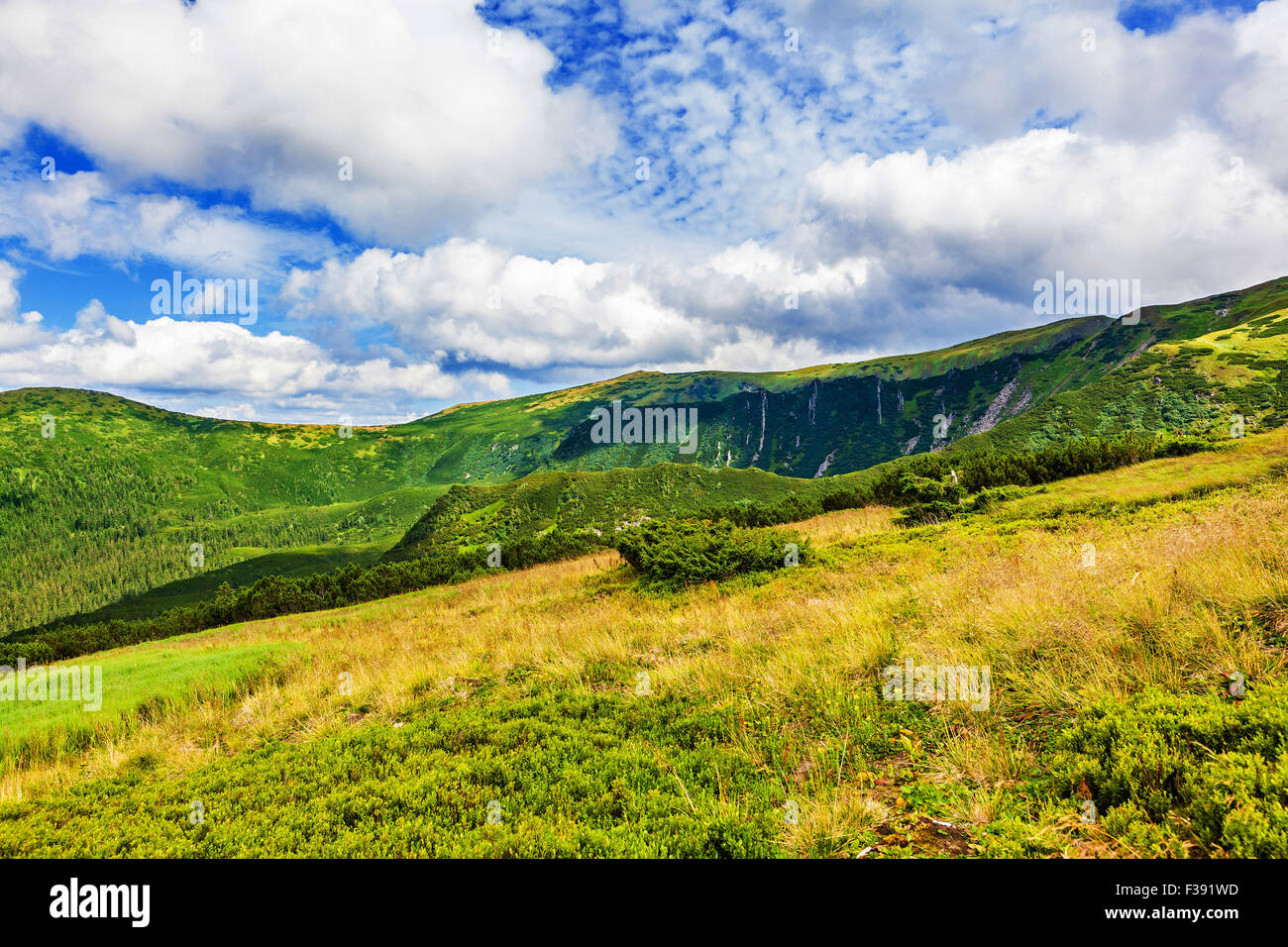 summer landscape of the Montenegrin ridge in Carpathians Stock Photo ...