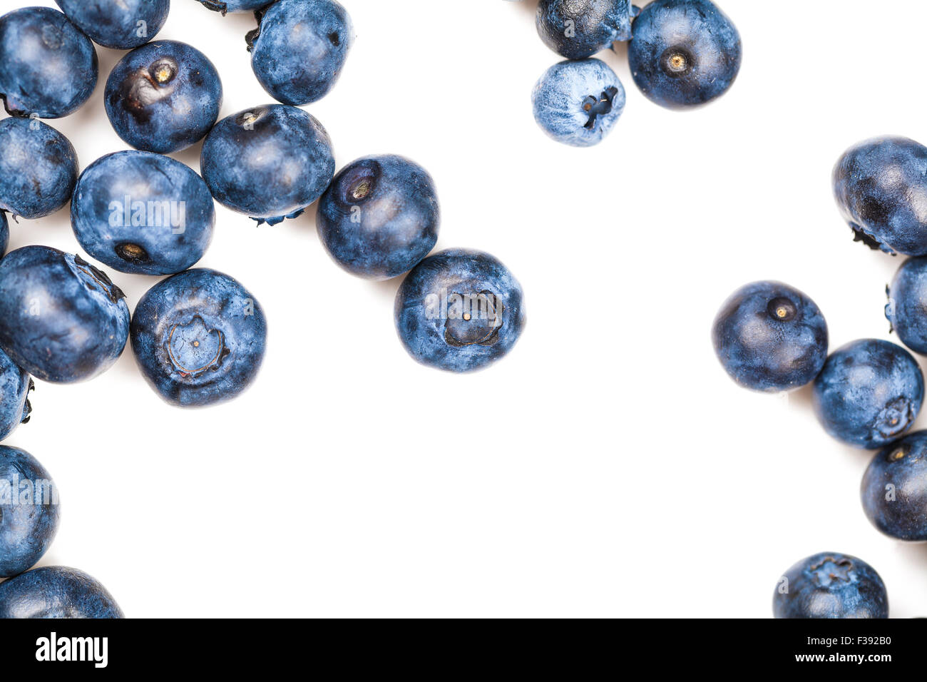 natural fresh blueberries closeup on white background Stock Photo - Alamy