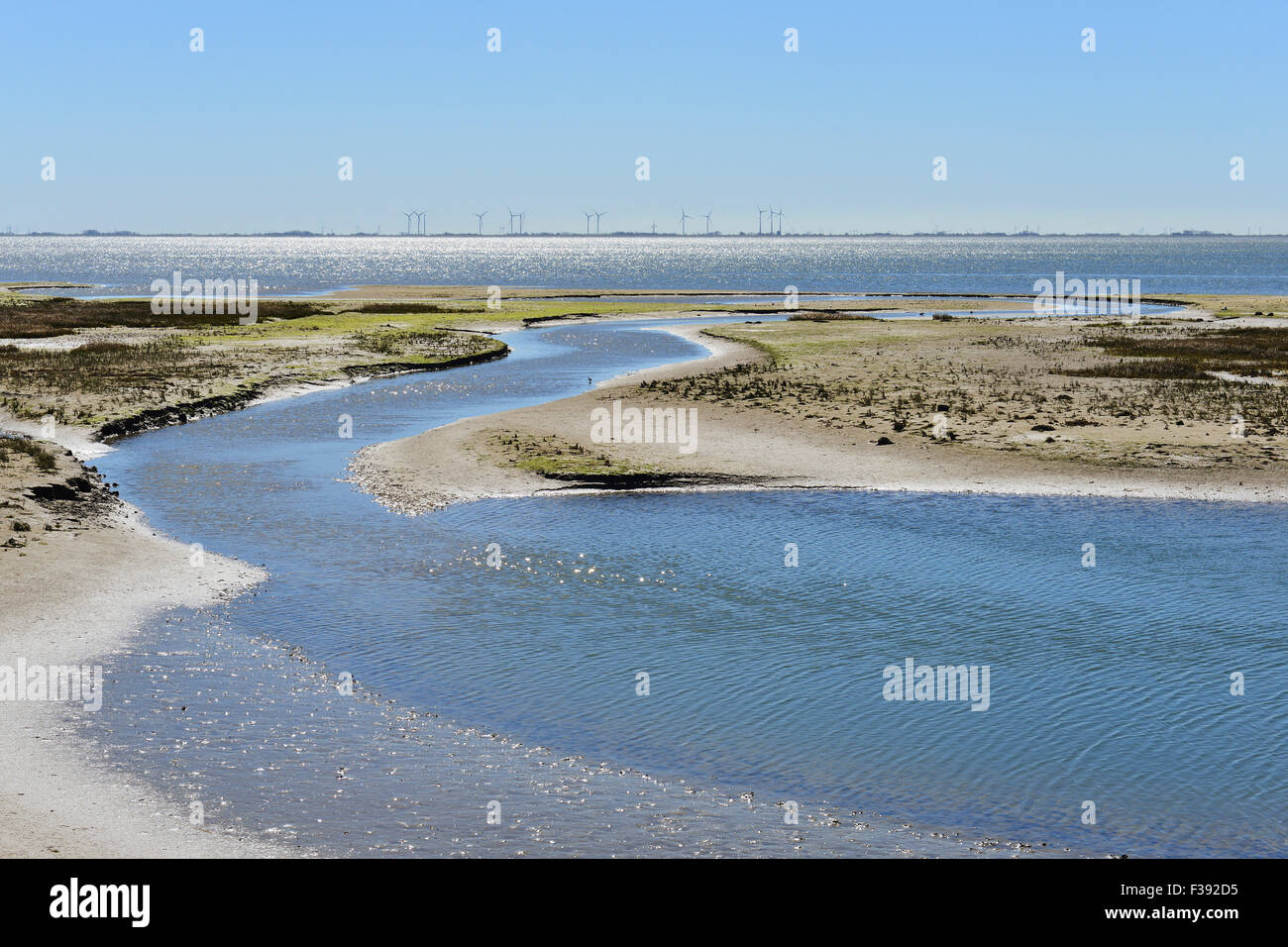 Tidal lagoon hi-res stock photography and images - Alamy