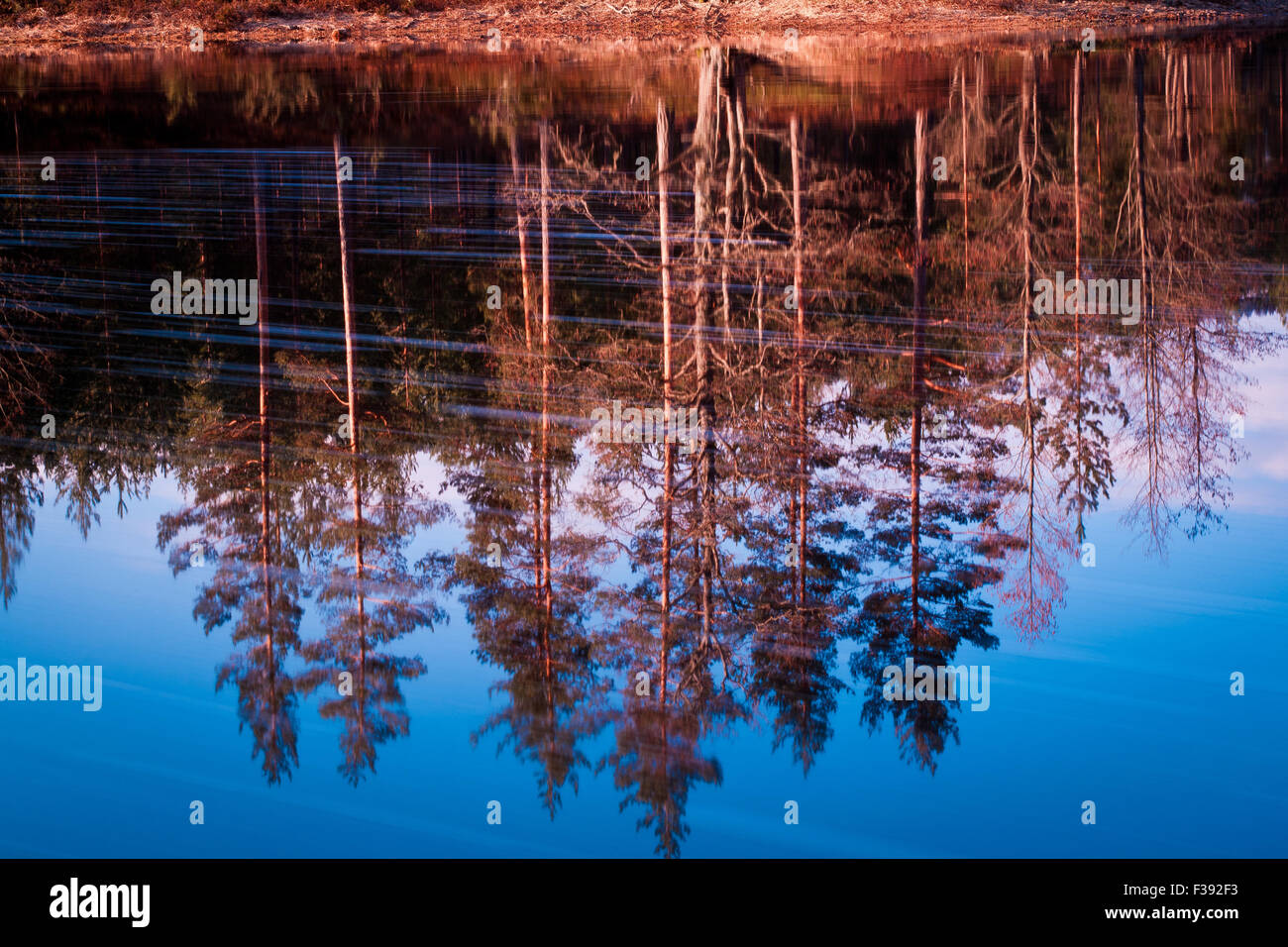 Nissedal Kommune High Resolution Stock Photography and Images - Alamy