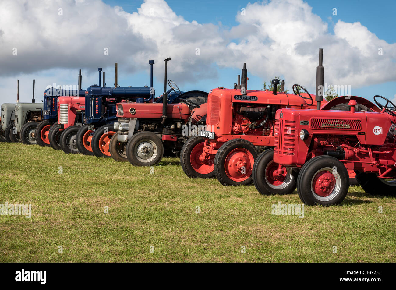 Row of Vintage Farm Tractors Stock Photo - Alamy