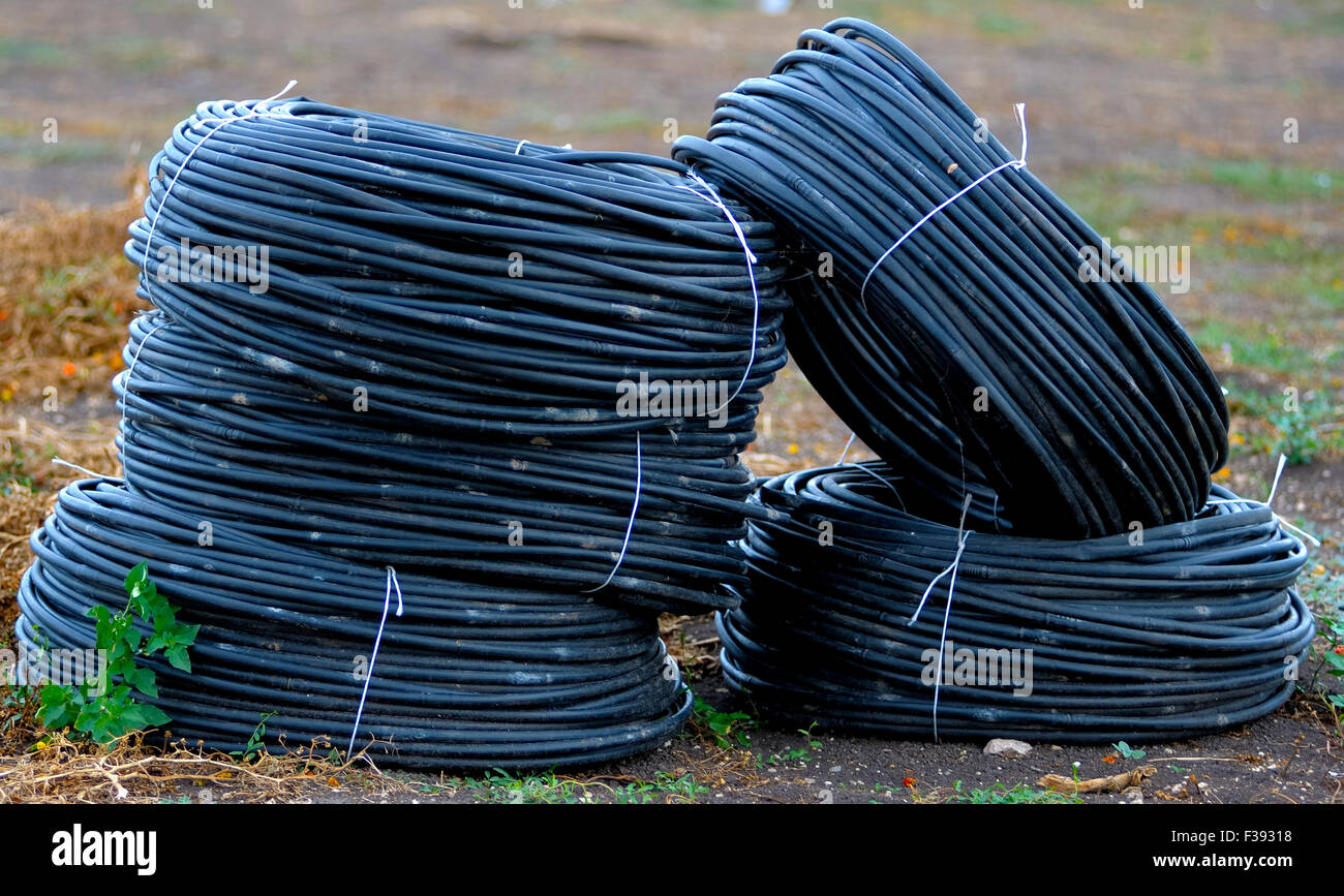 rolls pvc pipes for irrigation campaign to cultivate tomatoes in Puglia ...