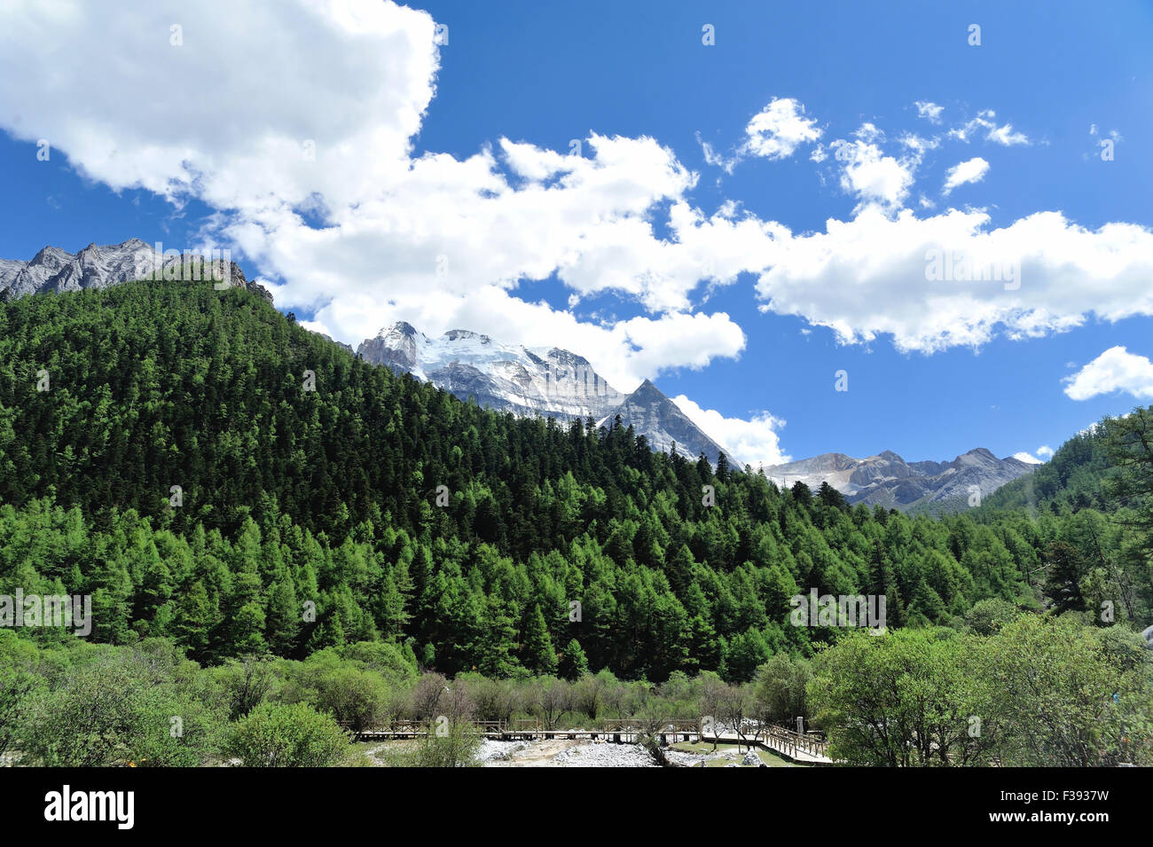 Tibet snow mountain with Grassland in China Stock Photo - Alamy