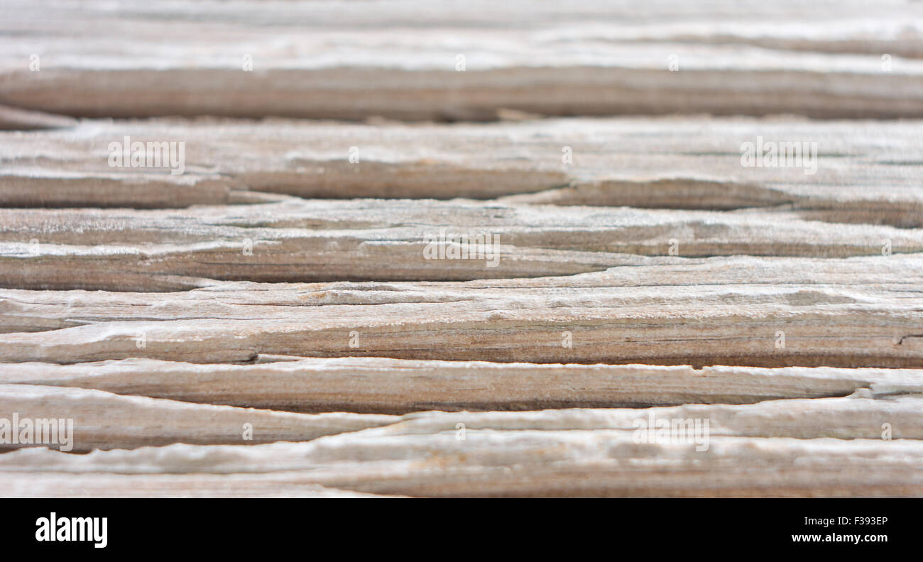 Macro detail wood texture hi-res stock photography and images - Alamy