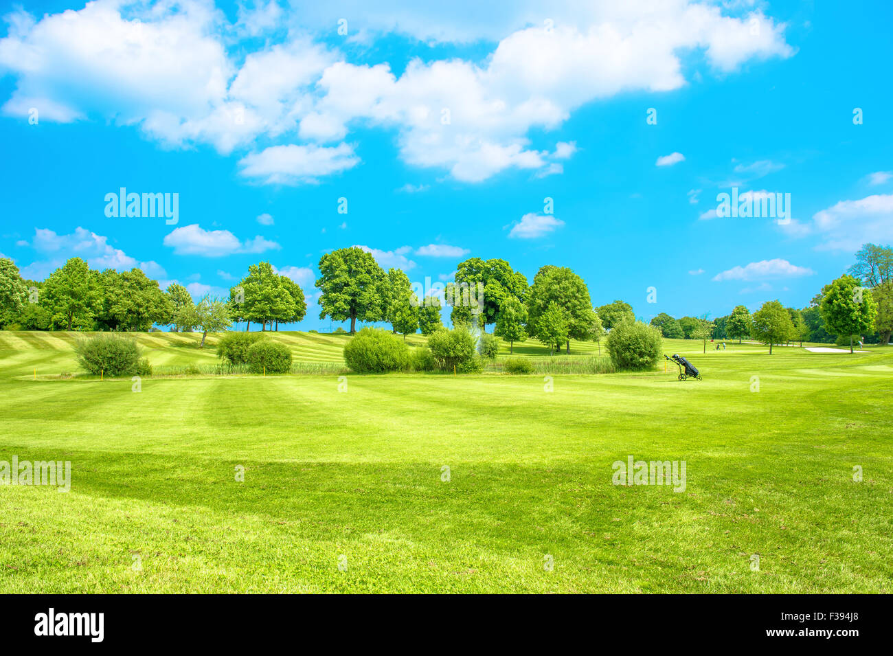 Golf course. Green field with fresh grass, trees and cloudy blue sky ...