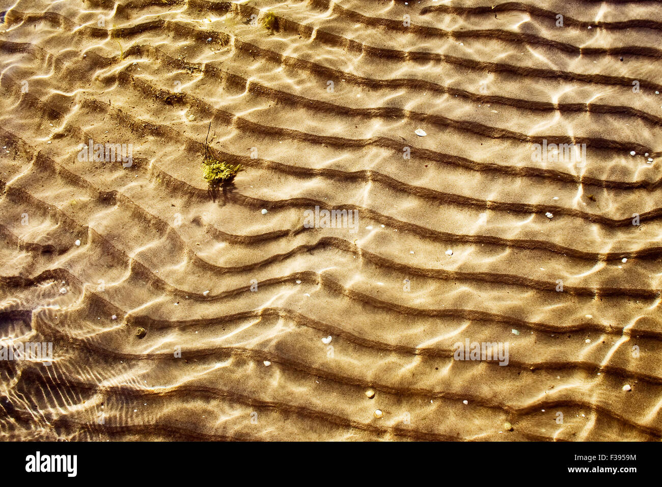 Sea bottom texture Stock Photo - Alamy