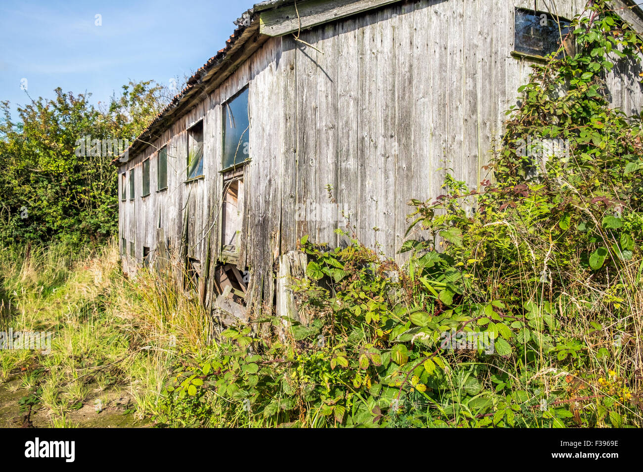 Old wooden chicken sheds looking a little run down and disused Stock ...