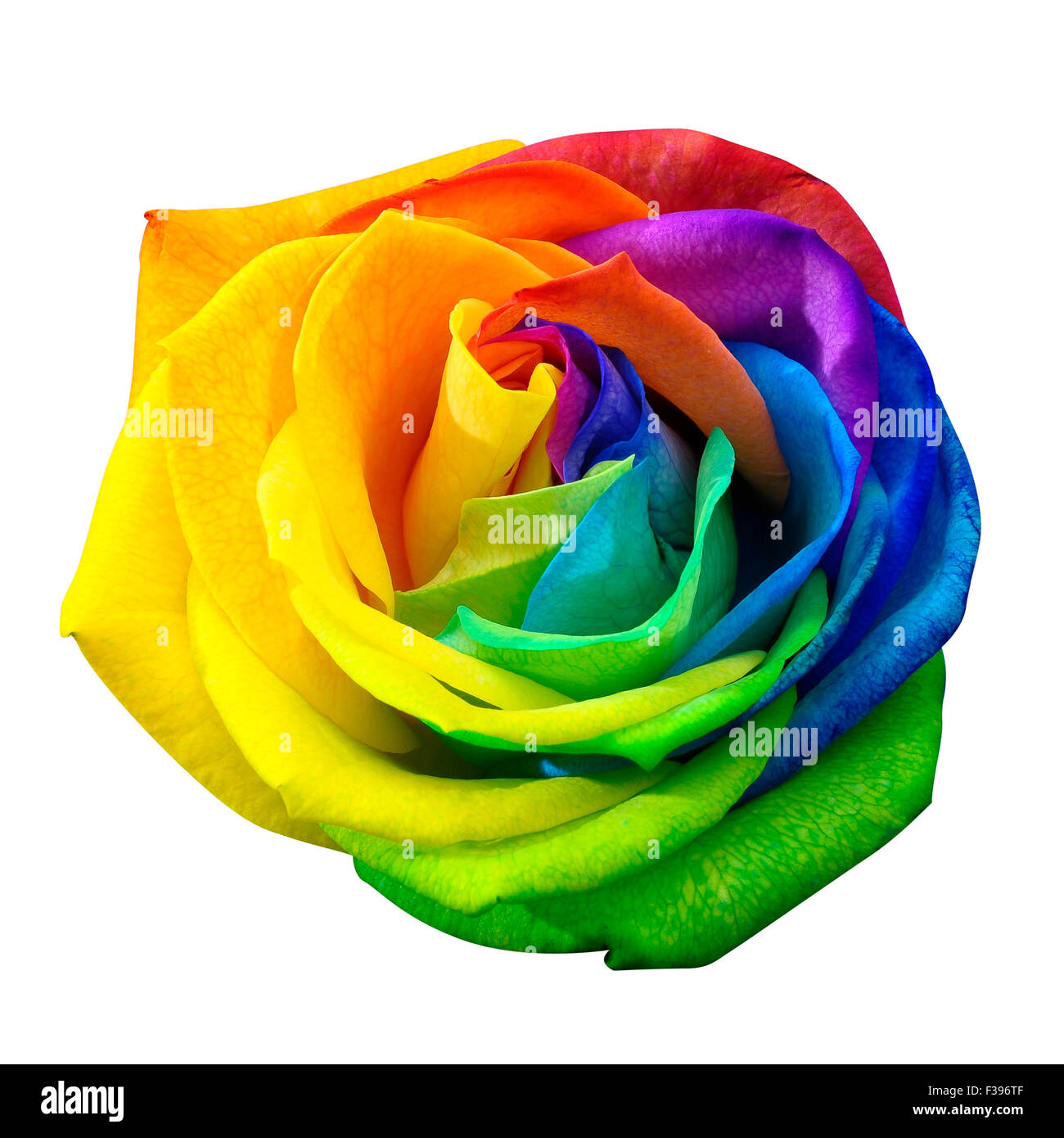 Colour flower rainbow hi-res stock photography and images - Alamy