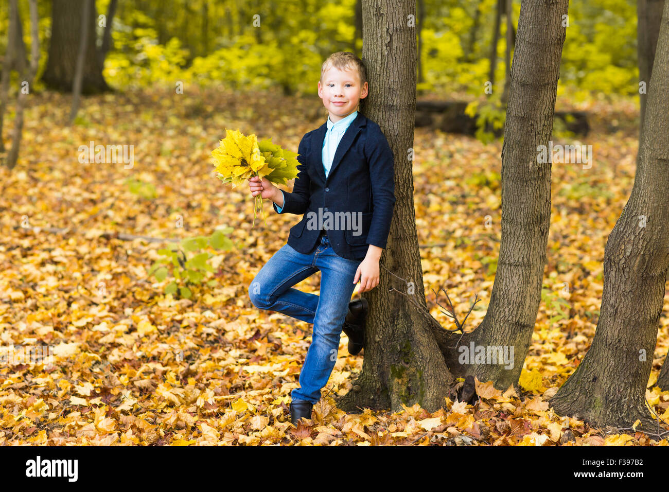 boy with autumn leaves Stock Photo - Alamy