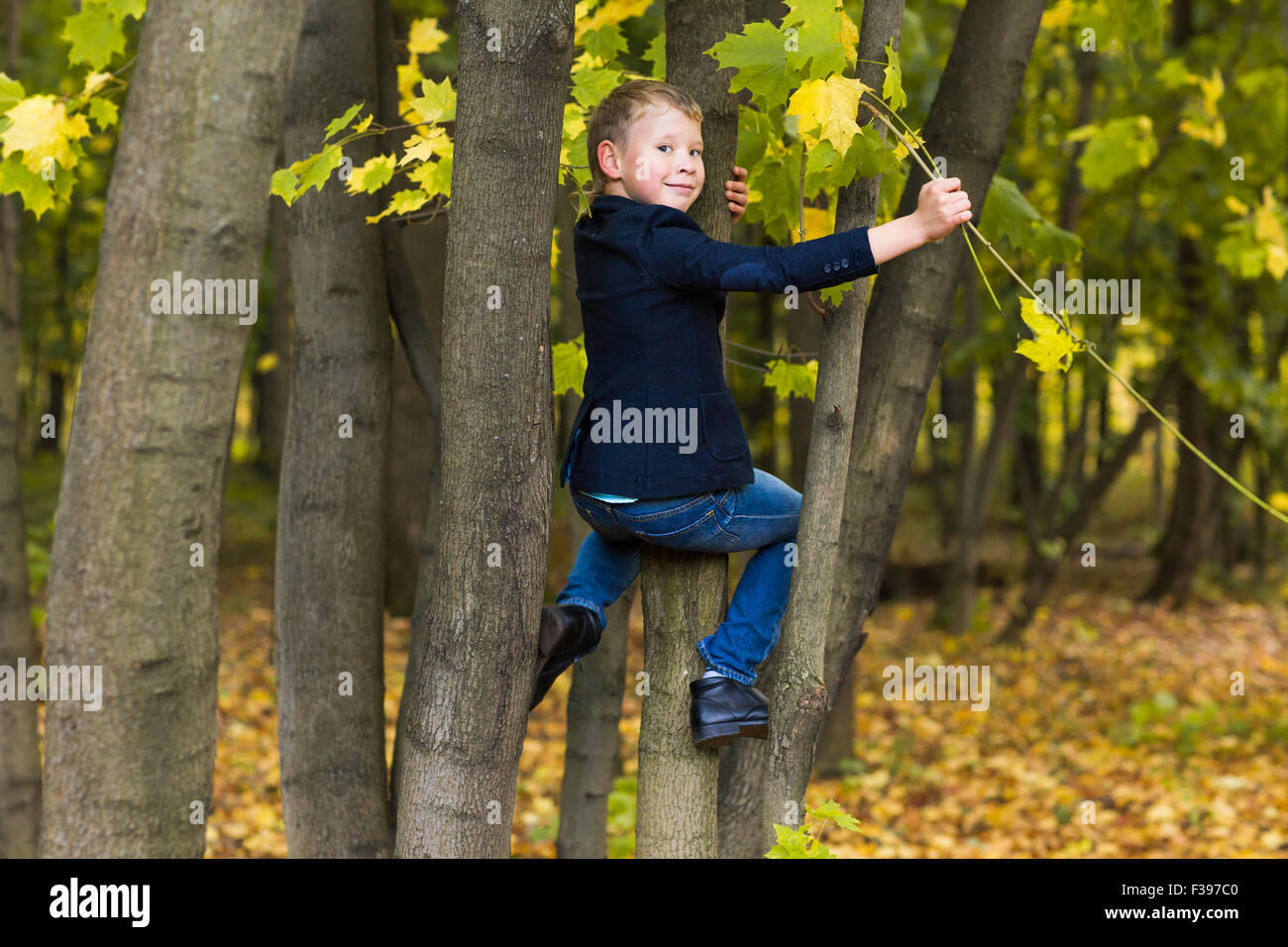 boy climbs up the tree in autumn park Stock Photo - Alamy