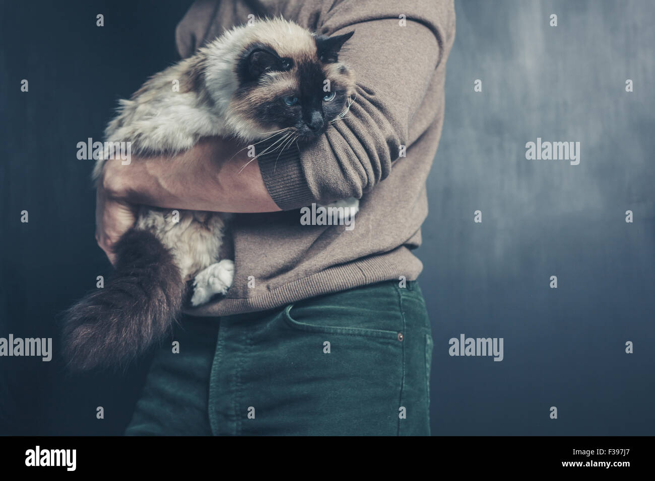 A young man is holding a big Birman cat Stock Photo - Alamy