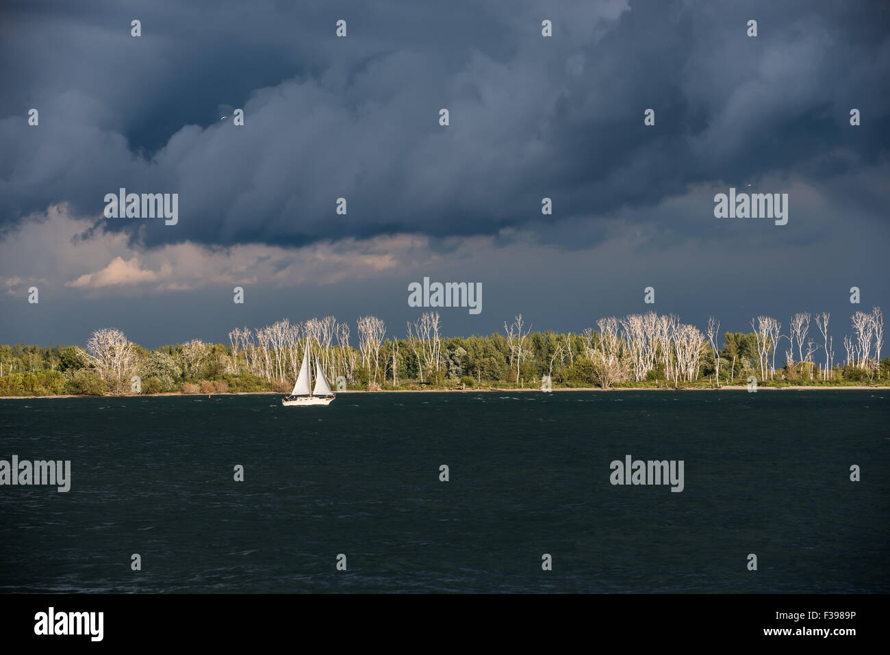 White sailboat yacht between hi-res stock photography and images - Alamy