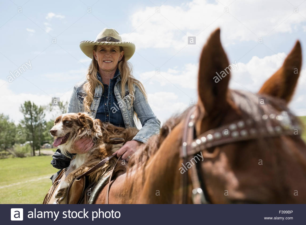 Blonde Woman Riding Horse High Resolution Stock Photography and Images ...