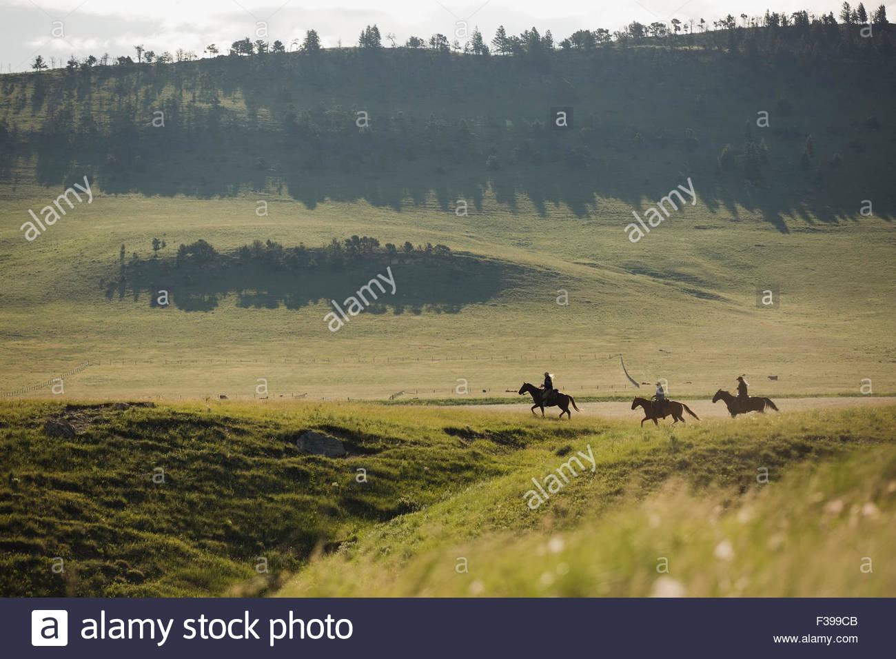 Riding field hi-res stock photography and images - Alamy
